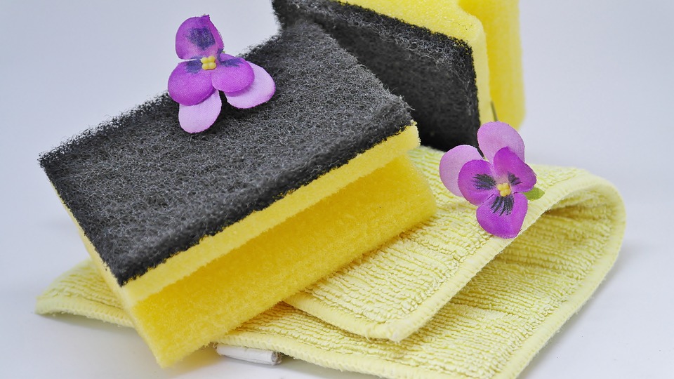 Spring Cleaning with The Family History Guide – The Family History ...